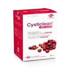 Cysticlean 240mg PAC 60 Capsules – Just Natural